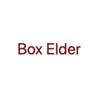 Job Listings - City of Box Elder Jobs